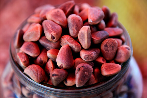 Стиль - Газета.Ru